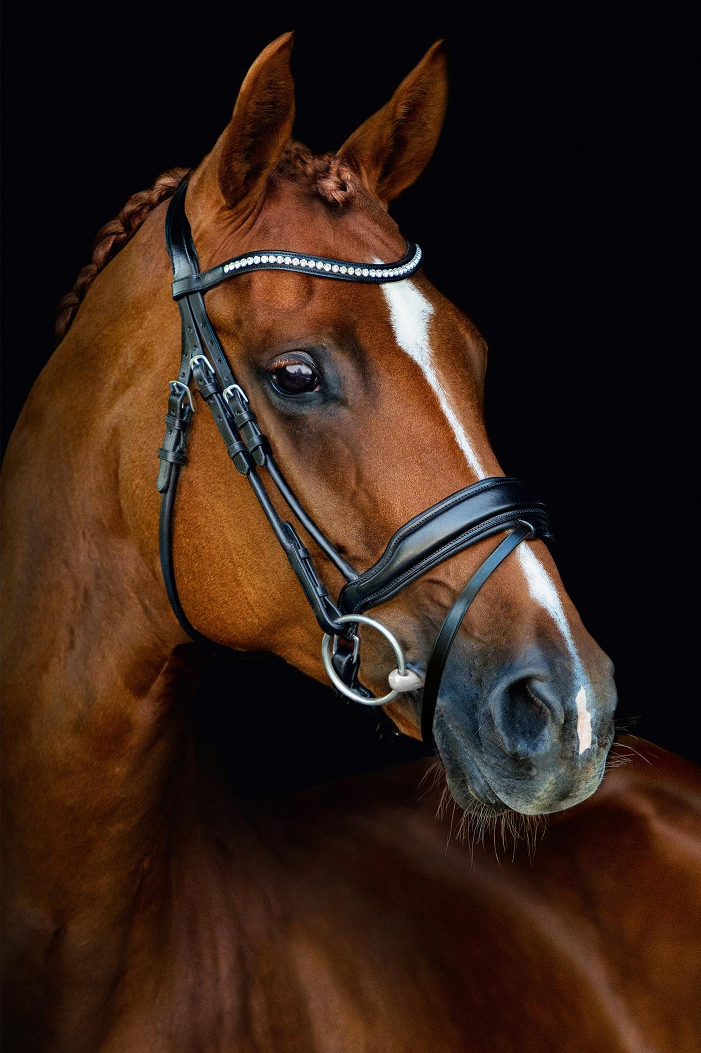Schockemöhle Sports Malibu Anatomical Dressage Bridle - Black/Silver ...