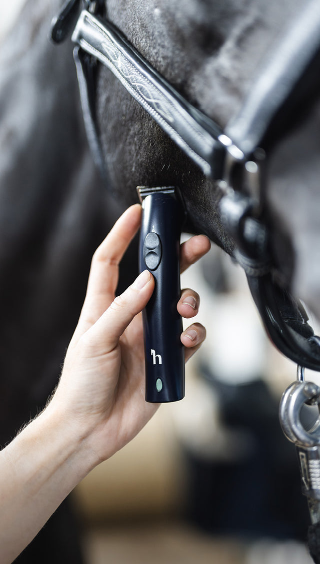 Horze - Your online shop for everything you need in equestrian sports ...